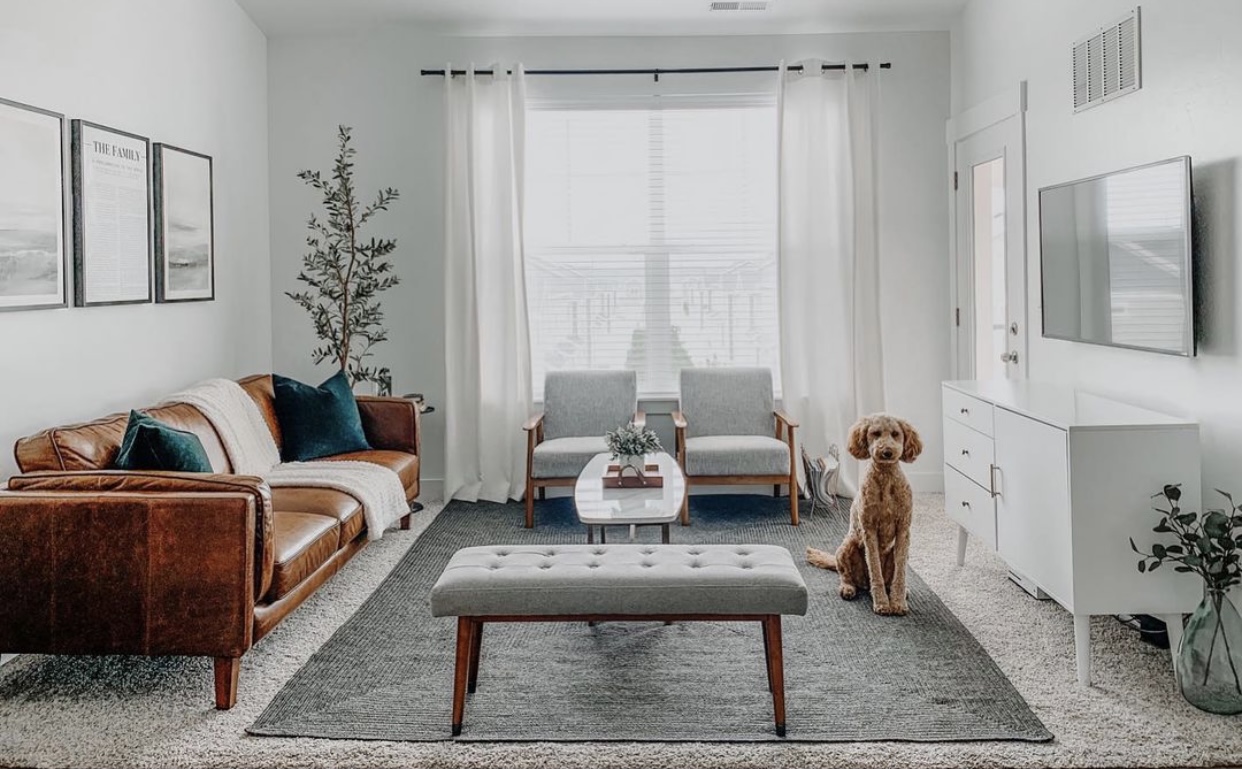 How to Make Your Home Pet Friendly | EDGEhomes