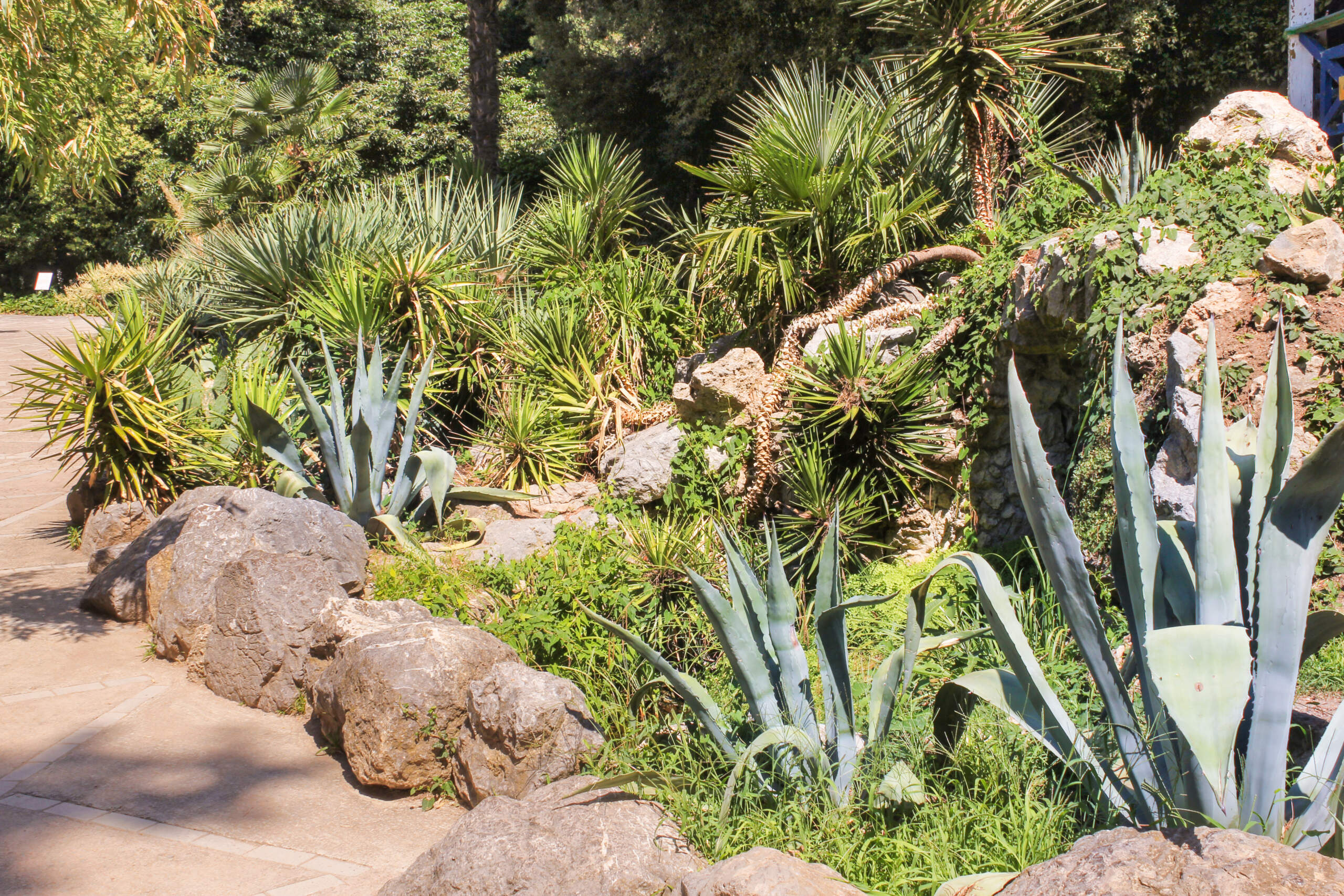 Xeriscape in Utah: What It Is and How to Do It - EDGEhomes